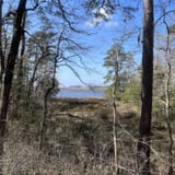 Neusiok Trail Northern Half, North Carolina - 168 Reviews, Map | AllTrails