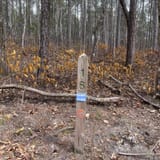 Neusiok Trail Northern Half, North Carolina - 168 Reviews, Map | AllTrails