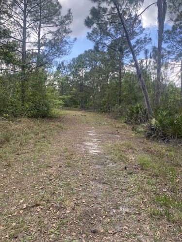 Best Hikes and Trails in Hilochee Wildlife Management Area | AllTrails