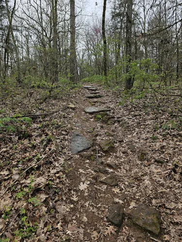 Best Hikes and Trails in Riverside Park | AllTrails