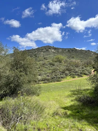 10 Best Hikes and Trails in Daley Ranch | AllTrails