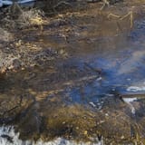 Point Douglas Trail, Minnesota - 257 Reviews, Map | AllTrails