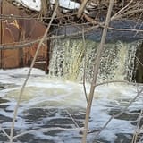 Point Douglas Trail, Minnesota - 257 Reviews, Map | AllTrails