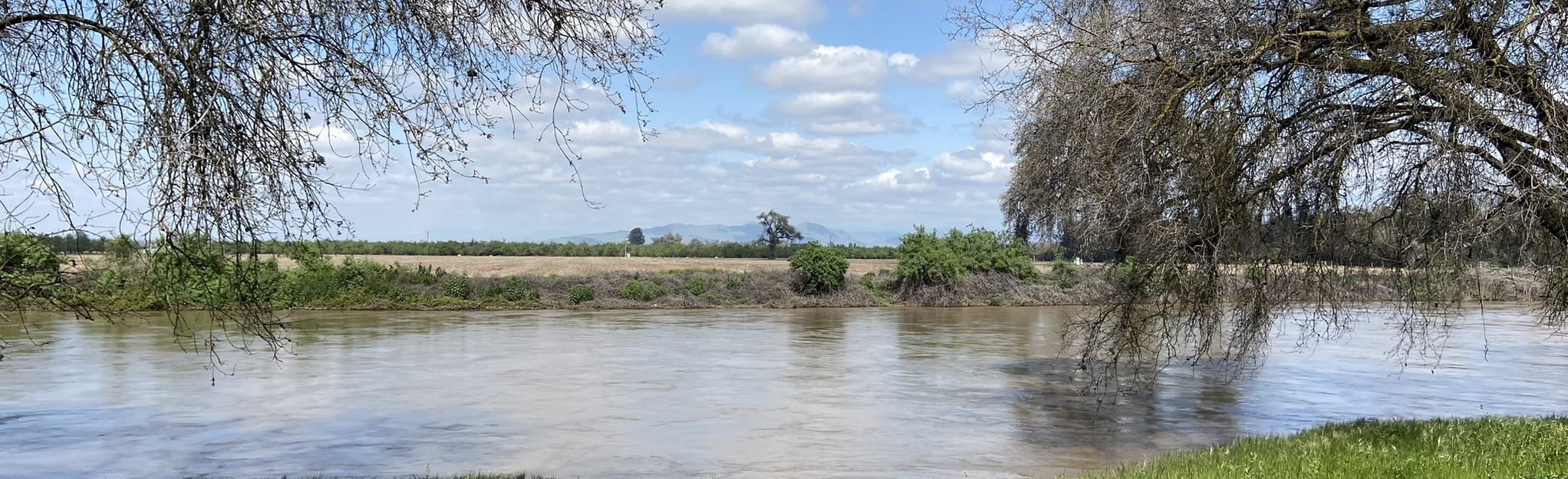 Saint Johns River Trail: 84 fotos - California | AllTrails