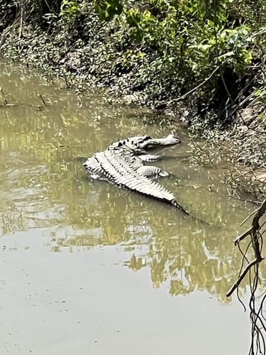 2023 Best trails in George Bush Park | AllTrails