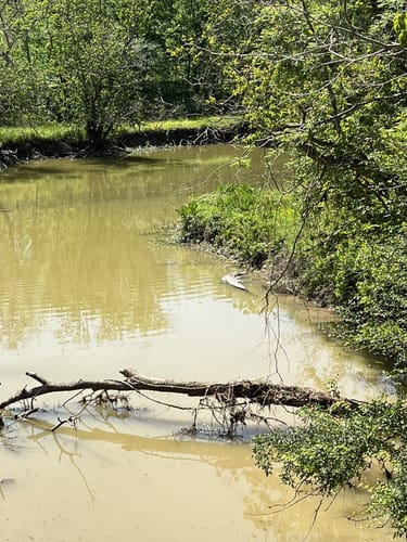 2023 Best trails in George Bush Park | AllTrails