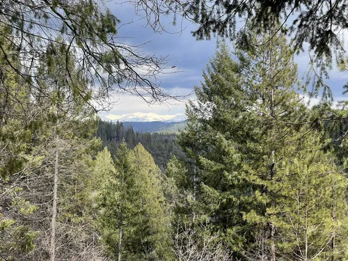 10 Best Trails and Hikes in Pollock Pines | AllTrails