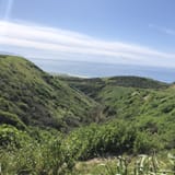 Point Sal Overlook, California - 496 Reviews, Map | AllTrails