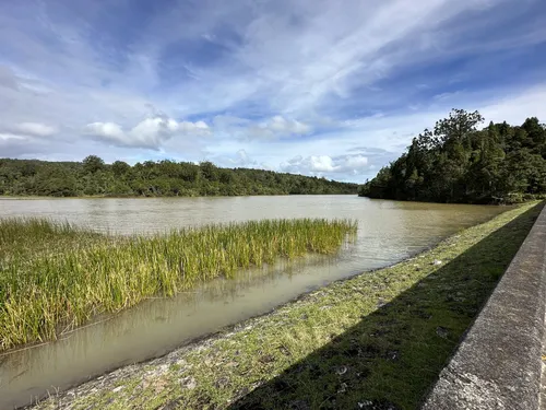 10 Best Hikes and Trails in Waitakere Ranges Regional Park | AllTrails
