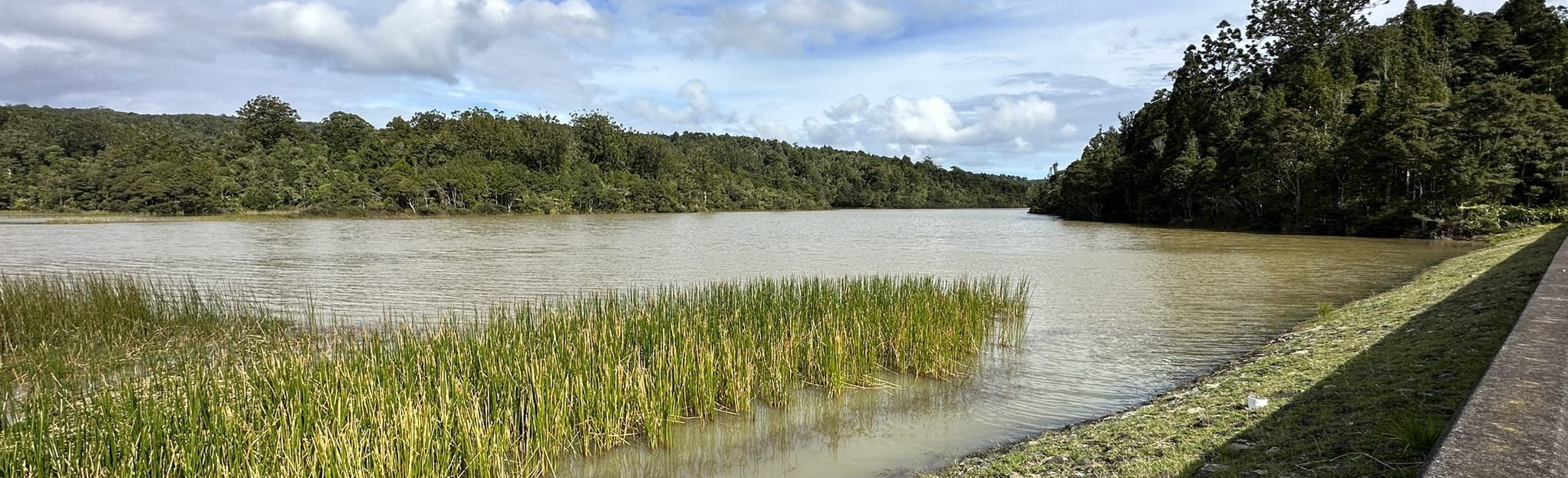 Auckland City Walk, Upper Kauri, Long Road and Fence Line Tracks Loop ...