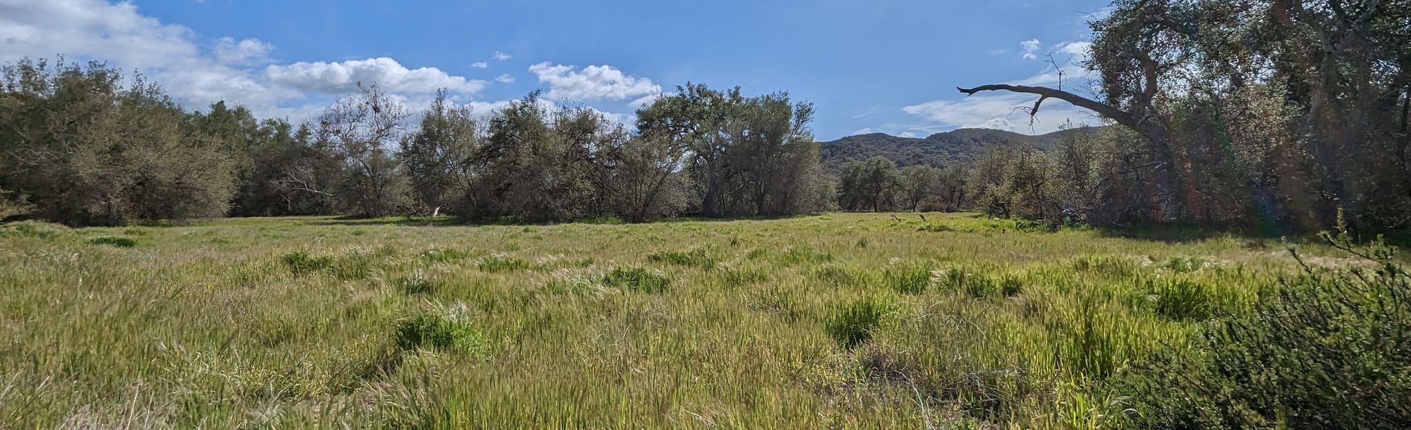 AllTrails | Bell Canyon, West Ridge, and Dick Loskorn Trails Loop: 366 ...