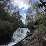 Wildcat Creek Loop Trail, Georgia - 322 Reviews, Map | AllTrails