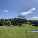 Hensley Lake Day Use Areas Trail, California - 356 Reviews, Map | AllTrails