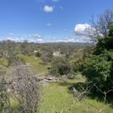 Hensley Lake Day Use Areas Trail, California - 356 Reviews, Map | AllTrails