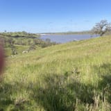 Hensley Lake Day Use Areas Trail, California - 356 Reviews, Map | AllTrails