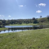 Hensley Lake Day Use Areas Trail, California - 356 Reviews, Map | AllTrails