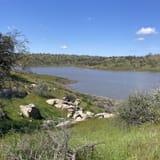 Hensley Lake Day Use Areas Trail, California - 356 Reviews, Map | AllTrails