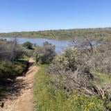 Hensley Lake Day Use Areas Trail, California - 356 Reviews, Map | AllTrails