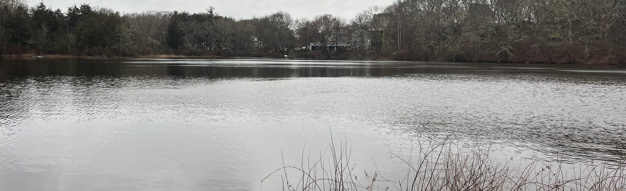 Dr. Lewis Pond Trail, Rhode Island - 4 Reviews, Map | AllTrails