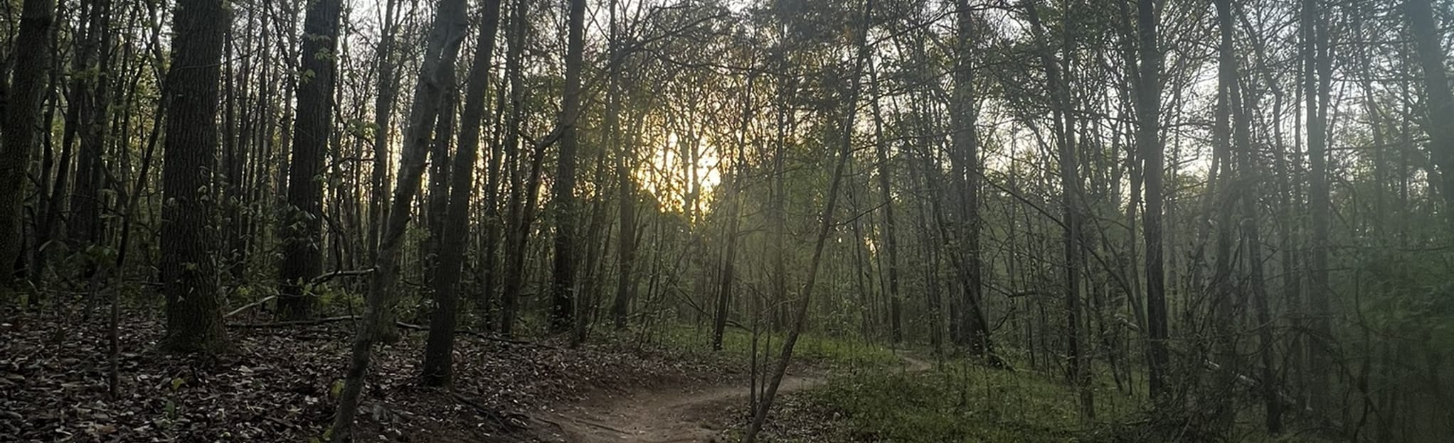 High Hill Bike and Run Short Loop, South Carolina - 6 Reviews, Map ...