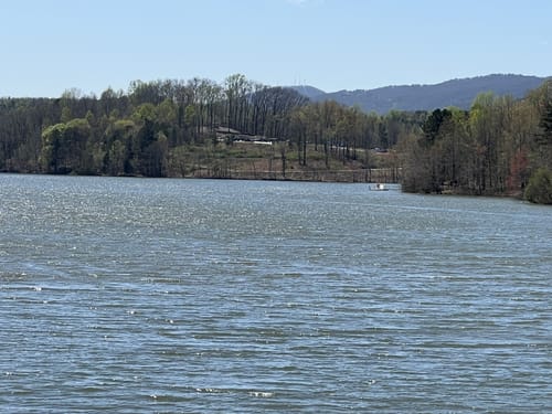 Best Hikes and Trails in Haig Mill Lake Park | AllTrails