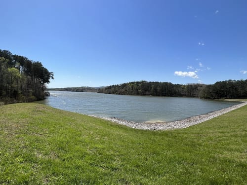 Best Hikes and Trails in Haig Mill Lake Park | AllTrails