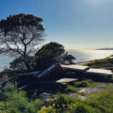 Albany Bulb, California - 393 Reviews, Map | AllTrails