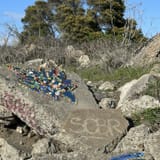 Albany Bulb, California - 393 Reviews, Map | AllTrails