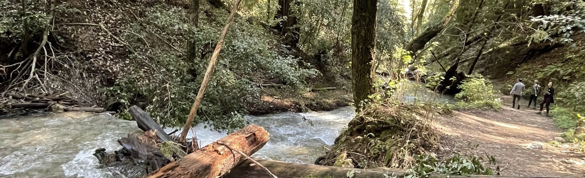 Fall Creek to Lime Kilns Trail: 2414 Reviews, Map - California | AllTrails