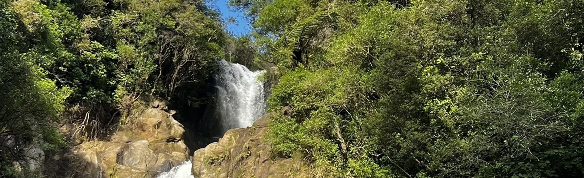 Kaiate Falls Walk: 105 Reviews, Map - Bay of Plenty, New Zealand ...