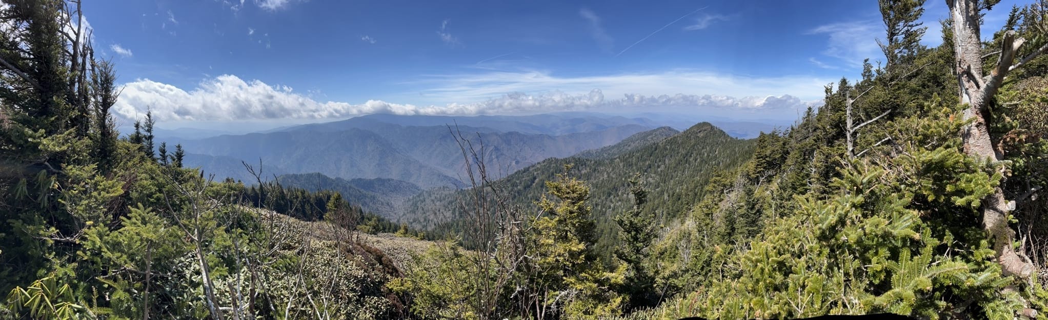 Rainbow Falls Trail and Cliff Tops Trail, Tennessee - 553 Reviews, Map ...