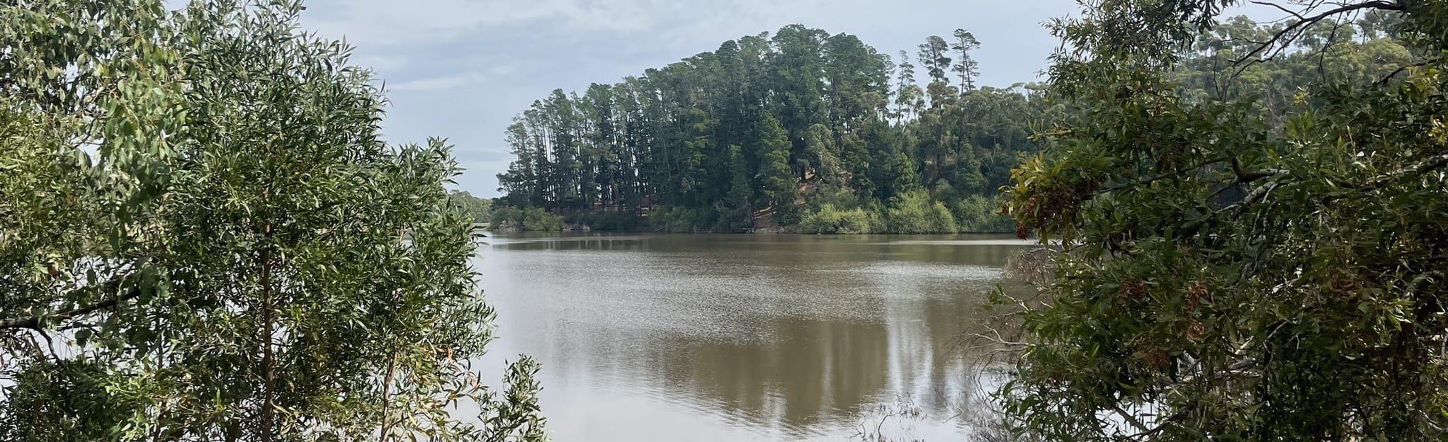 Creswick Circuit Walk, Victoria, Australia - 22 Reviews, Map | AllTrails