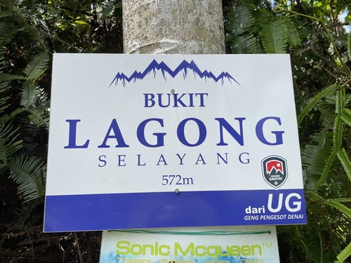 Best Hikes and Trails in Bukit Lagong Forest Reserve | AllTrails