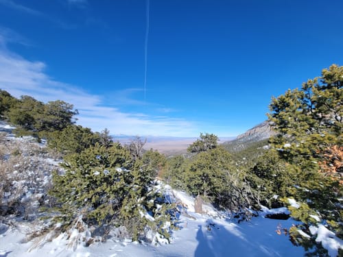 2023 Best trails in Fort Tuthill County Park | AllTrails