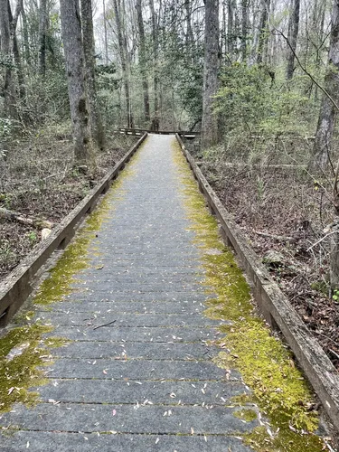10 Best Hikes and Trails in Great Dismal Swamp National Wildlife Refuge ...
