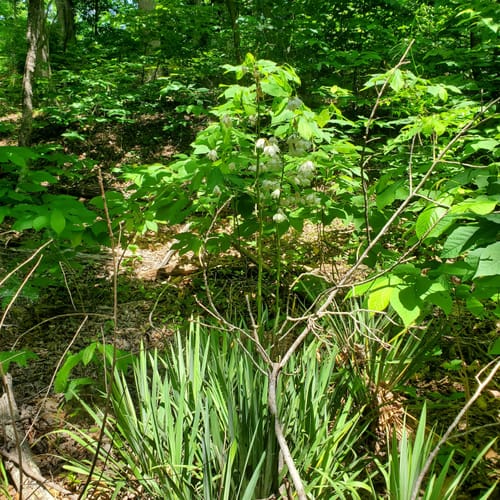 Best Hikes and Trails in Fort Mill | AllTrails