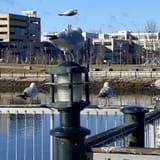 Providence River Walk, Rhode Island - 318 Reviews, Map | AllTrails