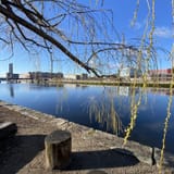 Providence River Walk, Rhode Island - 318 Reviews, Map | AllTrails