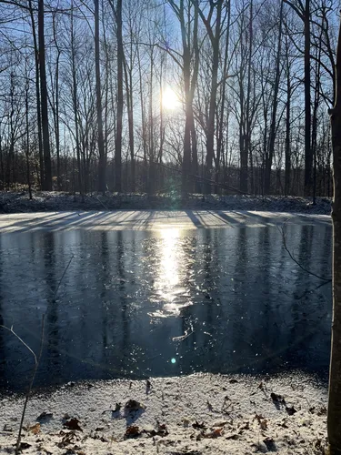 Best Hikes and Trails in Morgan Monroe State Forest | AllTrails