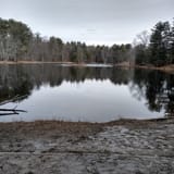 Bowers Spring and Bare Hill Trail, Massachusetts - 496 Reviews, Map ...