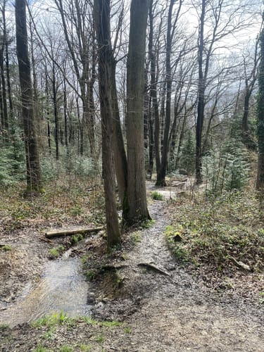 Best Hikes and Trails in Parkhurst Forest | AllTrails