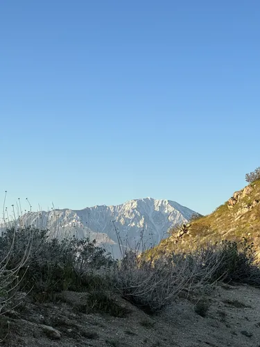 Best Hikes and Trails in Morongo Valley | AllTrails