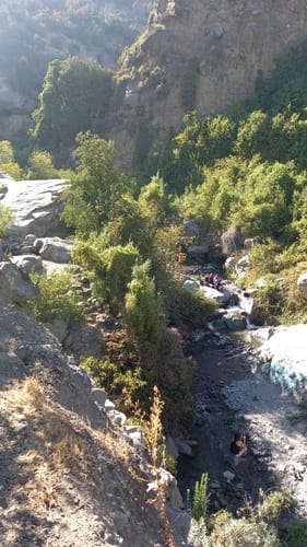 2023 Best Forest Trails in Quebrada De Macul Natural Park | AllTrails