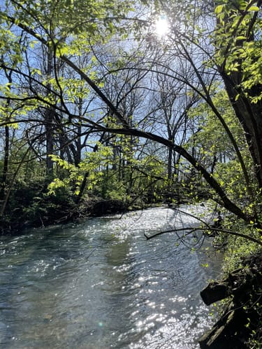 2023 Best trails in Deerwood Arboretum | AllTrails