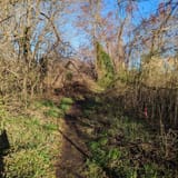 Greenbury Point Trail, Maryland - 938 Reviews, Map | AllTrails