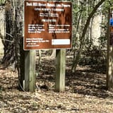 Bush Mill Preserve Trail, Virginia - 47 Reviews, Map | AllTrails
