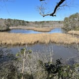 Bush Mill Preserve Trail, Virginia - 47 Reviews, Map | AllTrails
