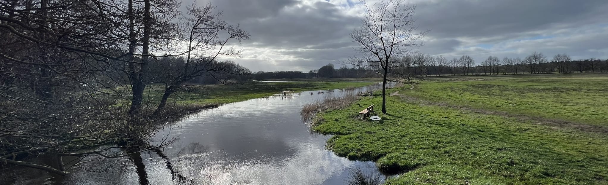 Oudemolen - Schipborg, Drenthe, Netherlands - 5 Reviews, Map | AllTrails