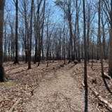 Hal and Berni Hanson Park Loop, Virginia - 104 Reviews, Map | AllTrails
