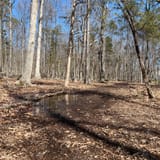 Hal and Berni Hanson Park Loop, Virginia - 104 Reviews, Map | AllTrails